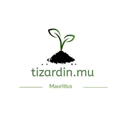 Pamplemousses Postal Codes Mauritius – tizardin.mu